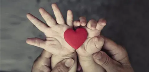 Seguros de auto, vida, accidentes, hogar | MAPFRE Chile