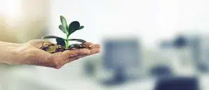 Seguros de auto, vida, accidentes, hogar | MAPFRE Chile